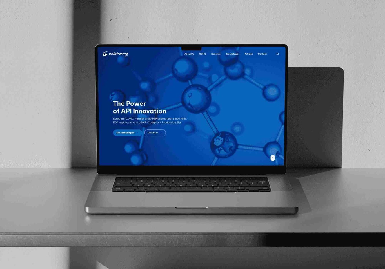 Inspiring Web Development Case Studies